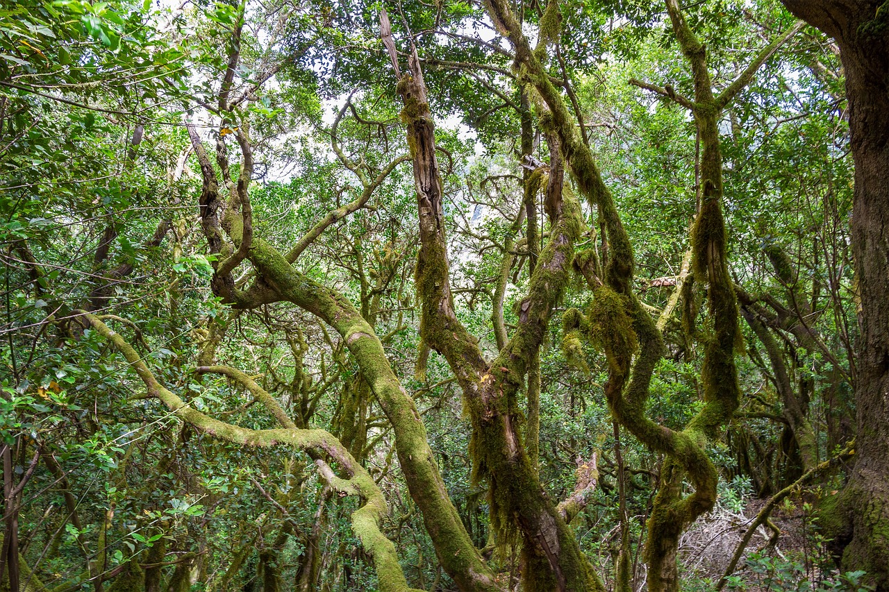 Spain National Parks: Guide to the Best Nature Reserves